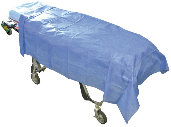 Modesty Flat Sheet - Large & X-Large (SMS Fabric) - Haines Medical ...