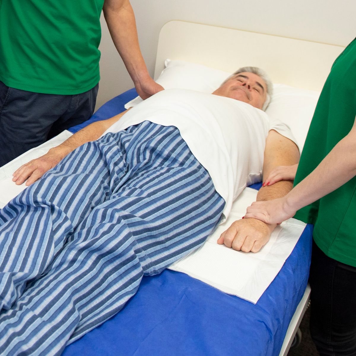 TouchDRY® Hospital and Medical Centre Absorbent Pads - Haines Medical ...